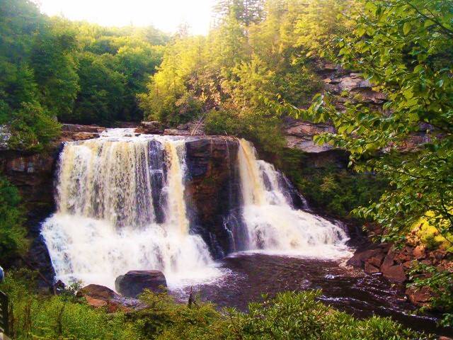 The falls